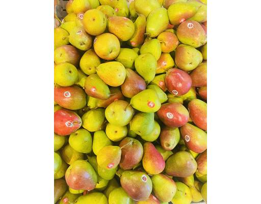 Lê Nam Phi Forelle 1kg