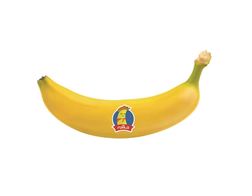 Chuối Fohla Đơn Fohla