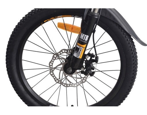 Xe Đạp Trẻ Em 20 Inch Fornix NX20 Plus Màu Xanh Lá Đen