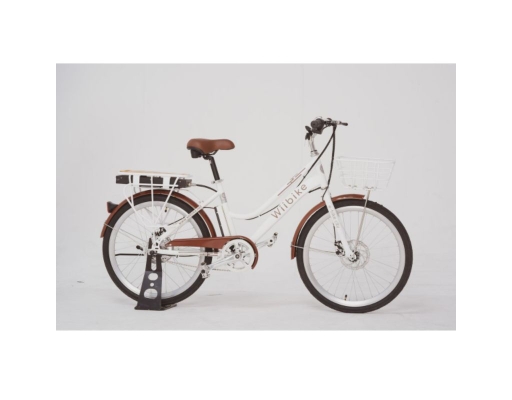 Xe Đạp Trợ Lực Điện Wiibike Summer 36V 24 Inch Màu Matcha